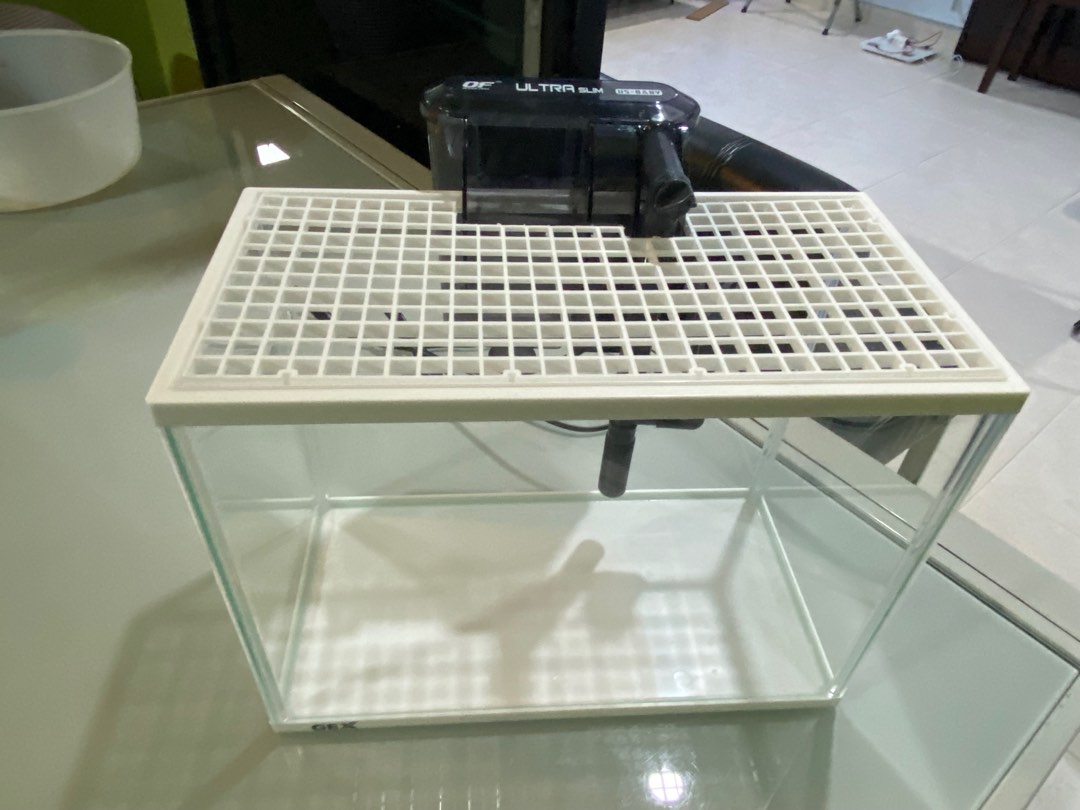 GEX fish tank and Ocean Free filter, Pet Supplies, Homes & Other Pet ...