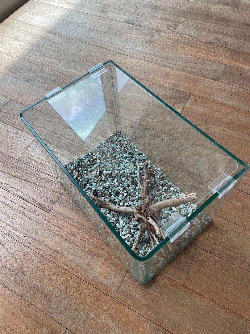 Glass tank, Pet Supplies, Homes & Other Pet Accessories on Carousell