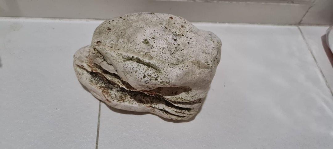 Plastic Aquarium cave, Pet Supplies, Homes & Other Pet Accessories on ...