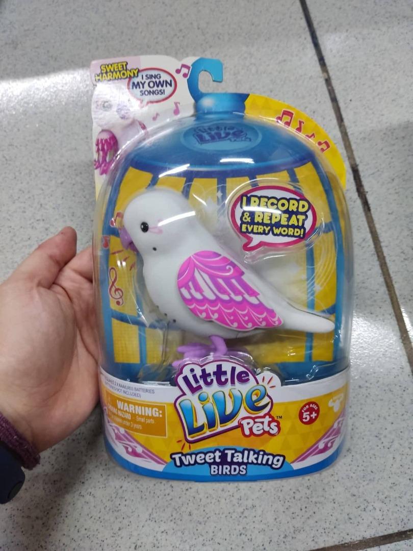 Little Live Pets - Sweet Harmony Bird (Suitable for Birthday ...