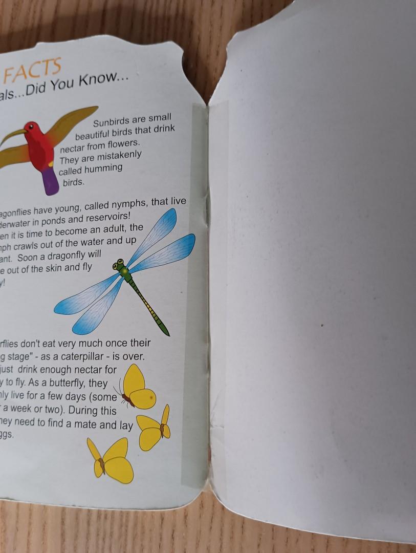 Sing Along with Captain Green, Hobbies & Toys, Books & Magazines ...