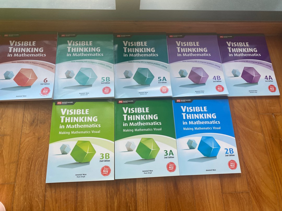 Visible thinking in Mathematics, Hobbies & Toys, Books & Magazines ...