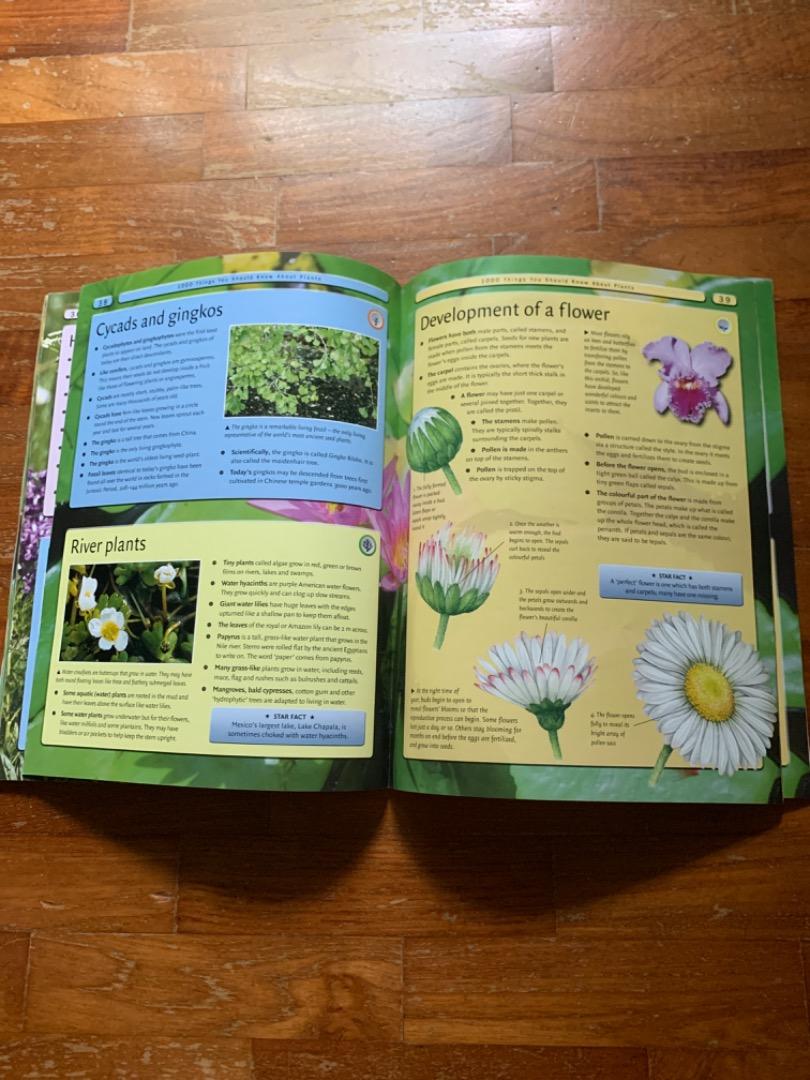 1000 things you should know about plants, Hobbies & Toys, Books ...
