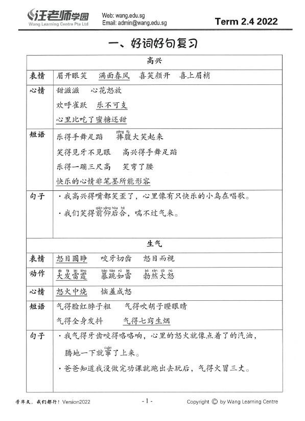 2022 P6 Wang Higher Chinese / Primary 6 Wang LaoShi / Full 3 hour ...