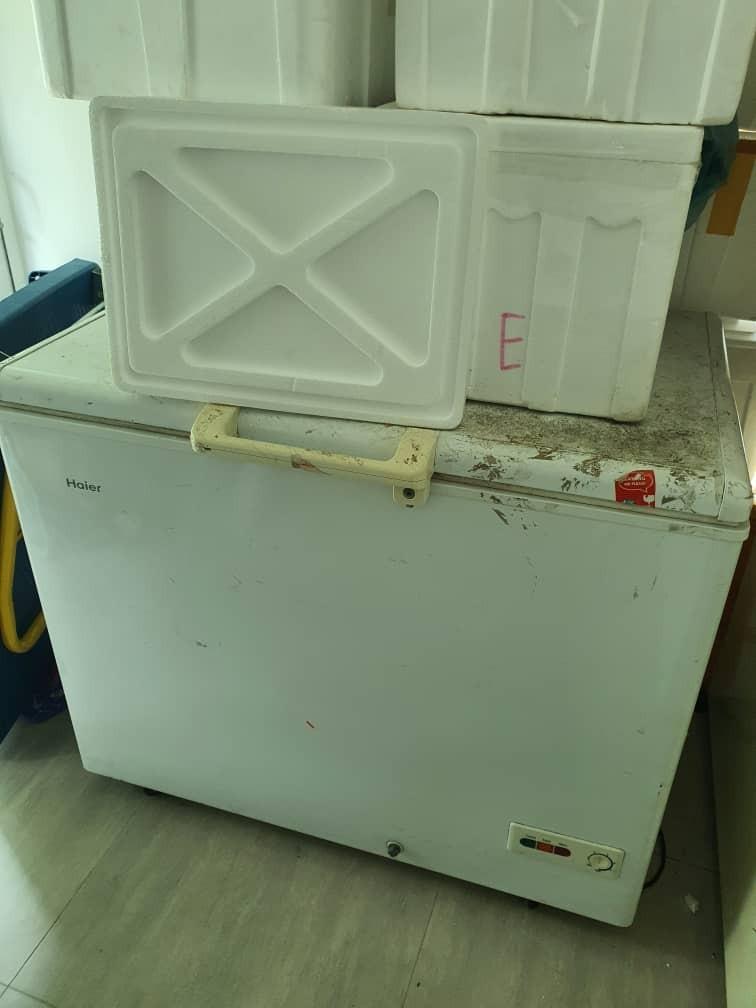400L Haier fast freeze chest freezer, TV & Home Appliances, Kitchen ...