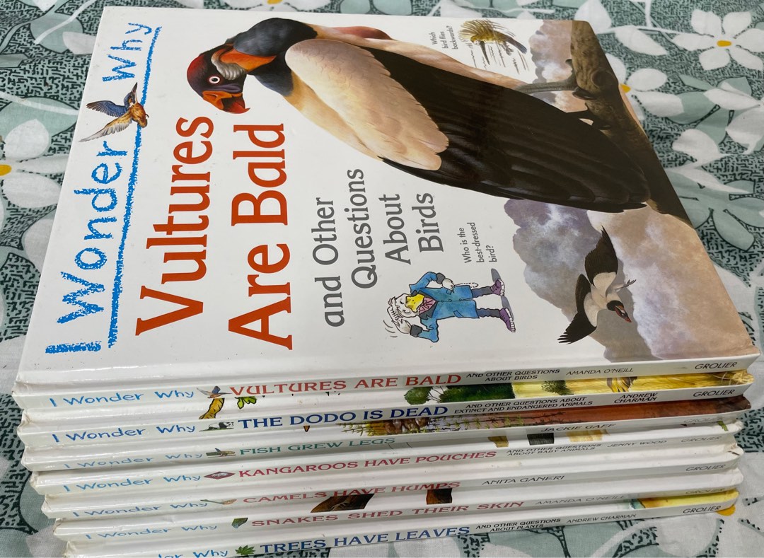 I wonder why, Hobbies & Toys, Books & Magazines, Children's Books on ...