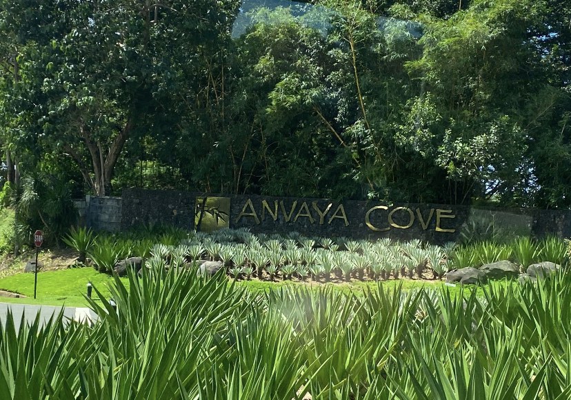 Launching New Phase in Anvaya Cove Soon!!! Accepting E-Loi, Property ...