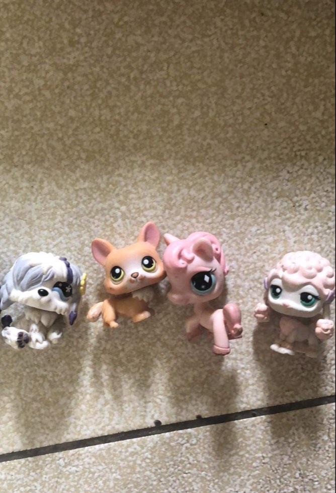 LPS littlest pet shop lps, Hobbies & Toys, Toys & Games on Carousell