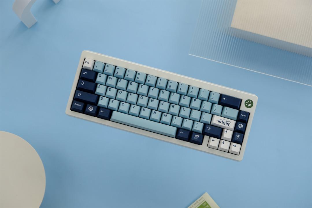 [SG Local Stock] Mizu Keycaps | Cherry Profile | PBT Dye-Sub | Royal ...