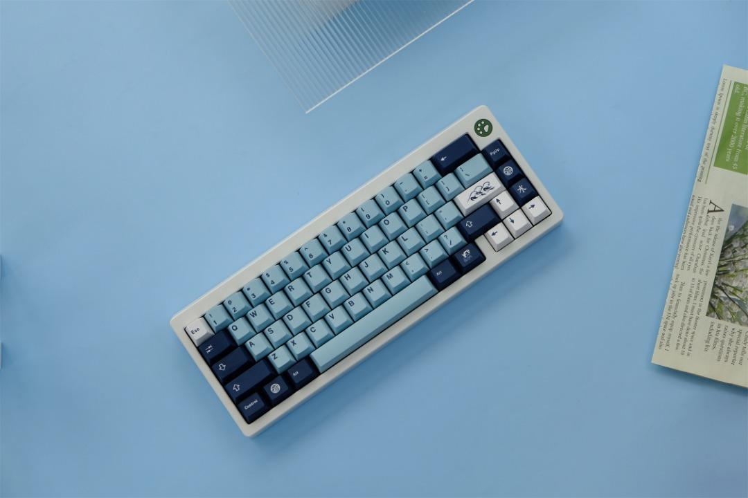 [SG Local Stock] Mizu Keycaps | Cherry Profile | PBT Dye-Sub | Royal ...
