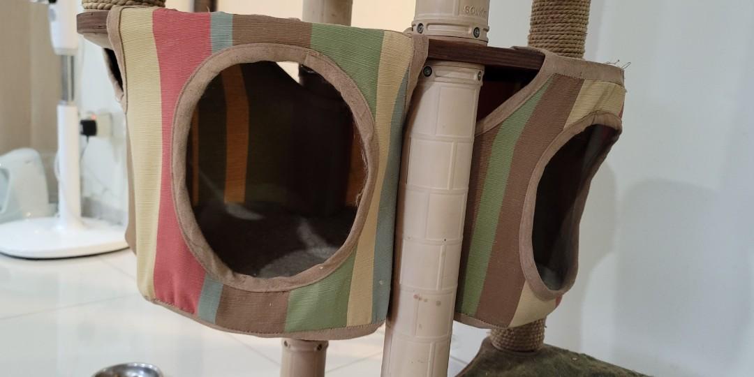 Old cat tree for free, Pet Supplies, Homes & Other Pet Accessories on ...