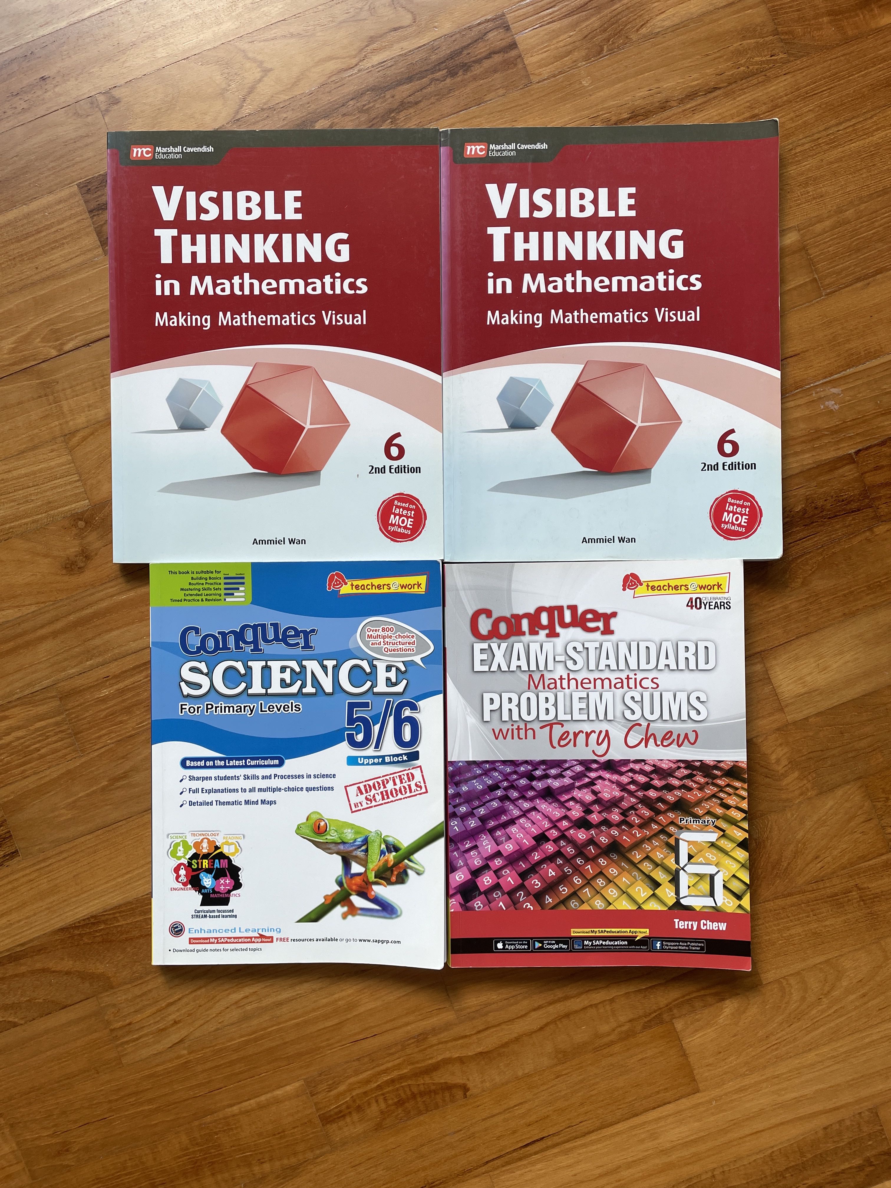 P6 Visible Thinking / Conquer Math / Science, Hobbies & Toys, Books ...