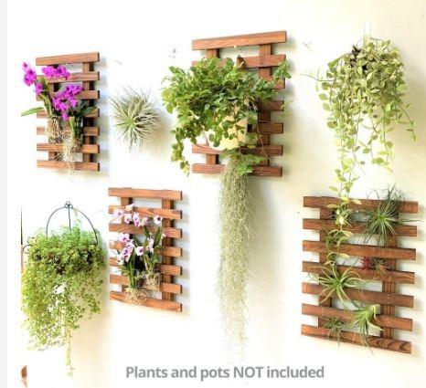 Wall Planters - Wooden Orchid Planter Frame Display, Outdoor Plants ...