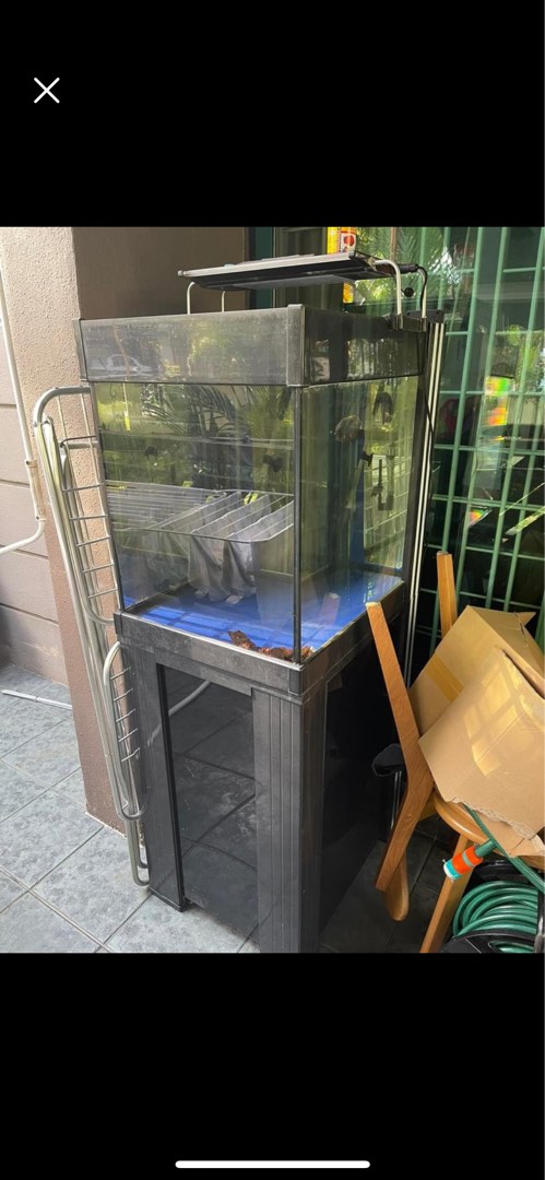 2 ft Cube Fish Tank Complete Set - Self Collection, Pet Supplies, Homes ...