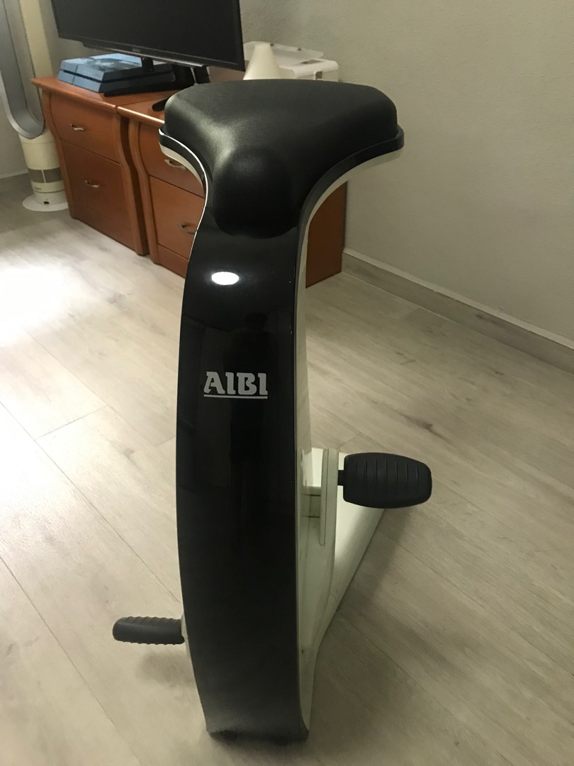 AIBI Exercise Bicycle, Sports Equipment, Exercise & Fitness, Cardio ...
