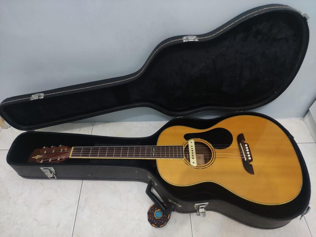 Alvarez AP70 installed with LR Baggs M1 with hardcase, Hobbies & Toys ...