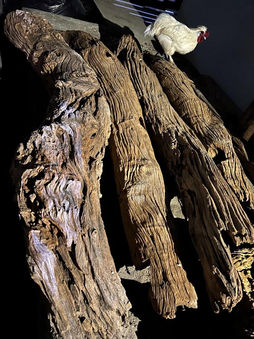 Antique primitive Molave sagat solid hardwood, Hobbies & Toys ...