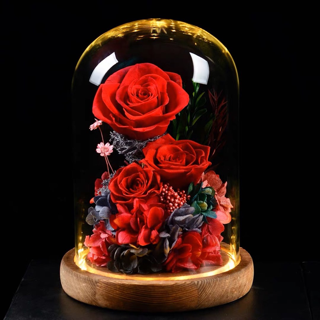 eternal roses in bell jar, Hobbies & Toys, Stationery & Craft, Flowers ...