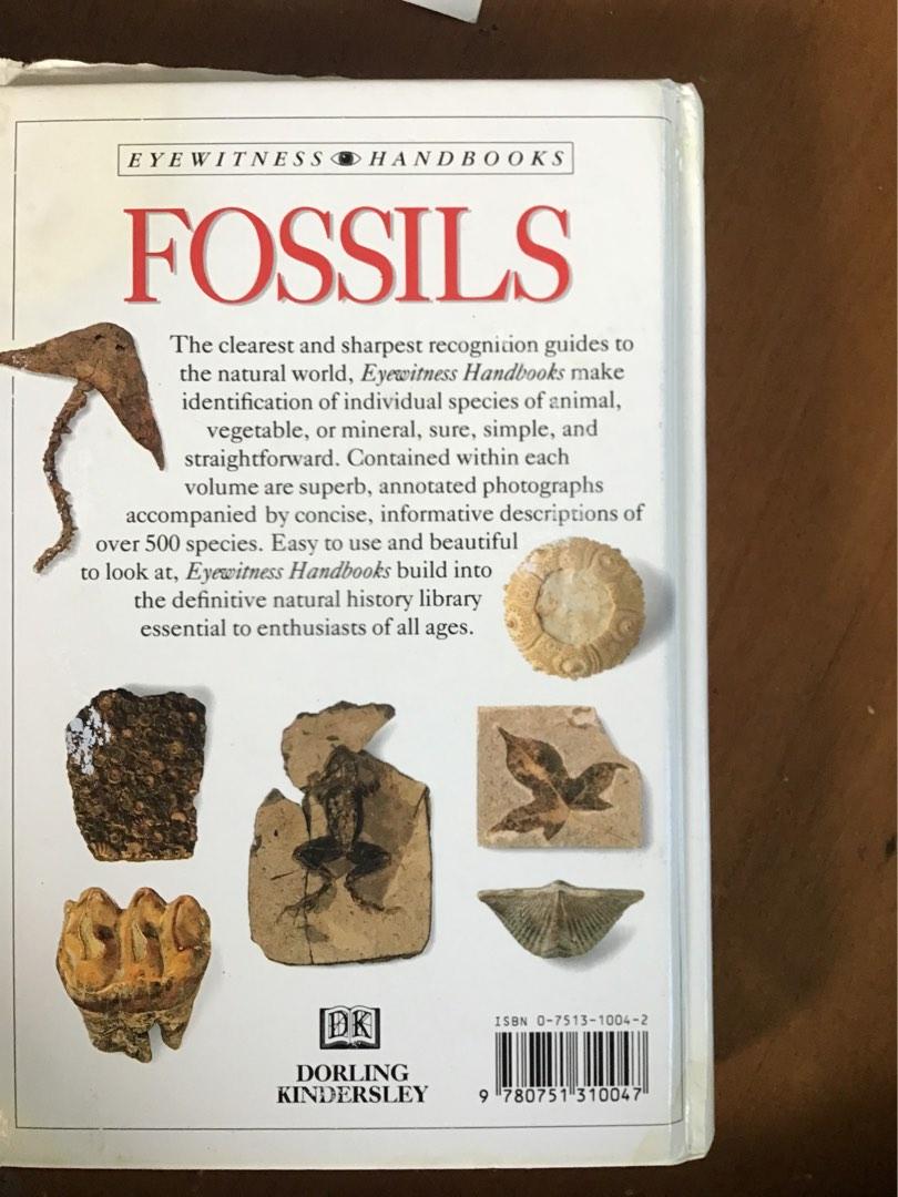 FOSSILS book, Hobbies & Toys, Books & Magazines, Children's Books on Carousell