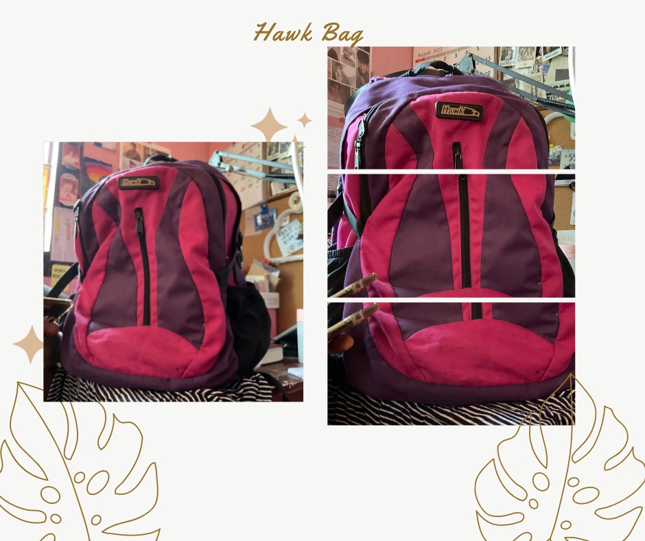 Hawk bag, Women's Fashion, Bags & Wallets, Backpacks on Carousell