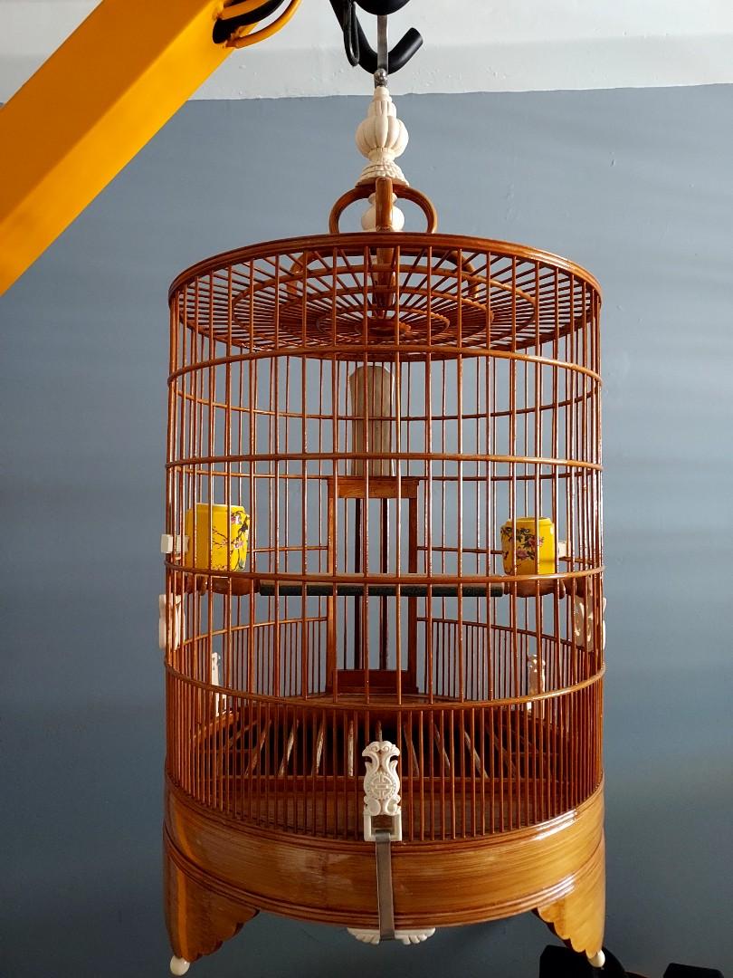 Unique Hb cage 14 inch, Pet Supplies, Homes & Other Pet Accessories on ...