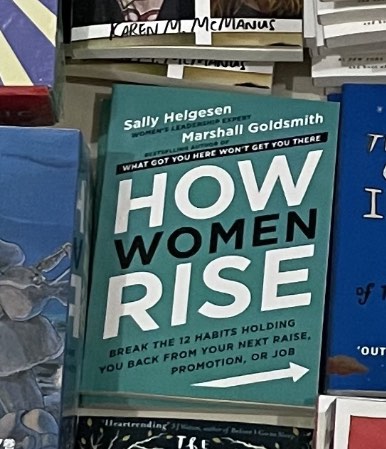 How women rise, 興趣及遊戲, 書本 & 文具, 小說 & 故事書 - Carousell