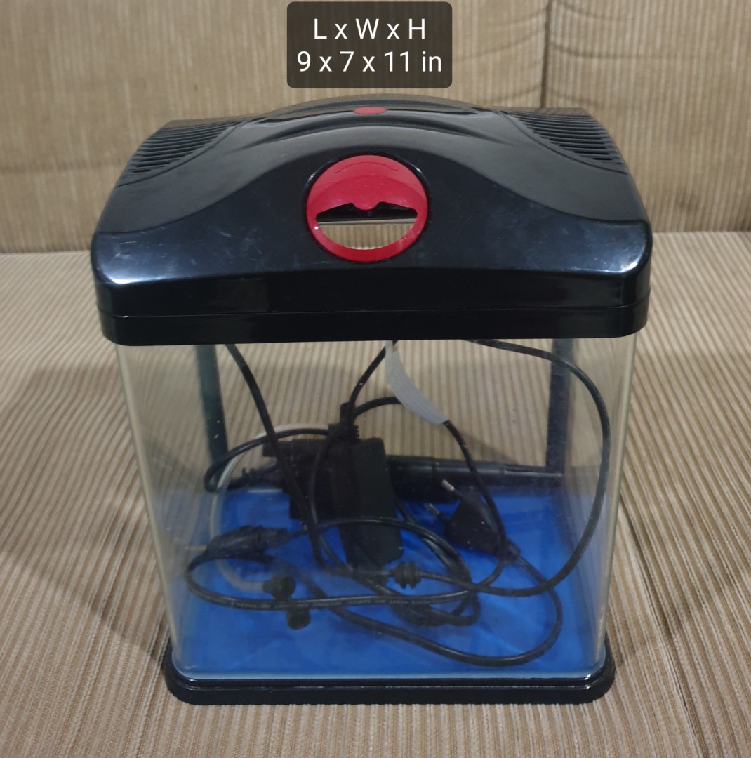 Mini fish tank set, Pet Supplies, Homes & Other Pet Accessories on ...