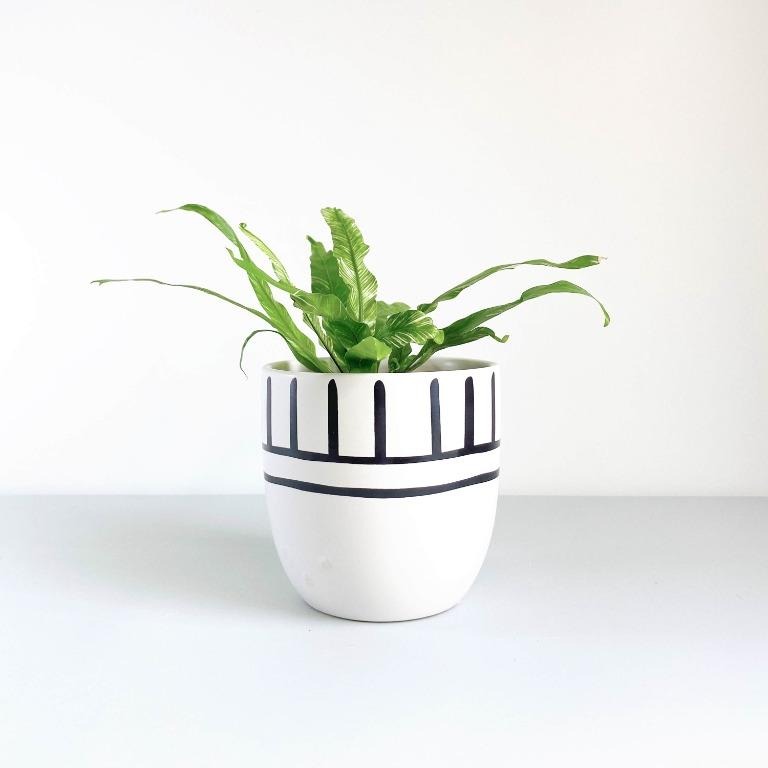 (SALE!) Cole Pot, Furniture & Home Living, Gardening, Pots & Planters ...