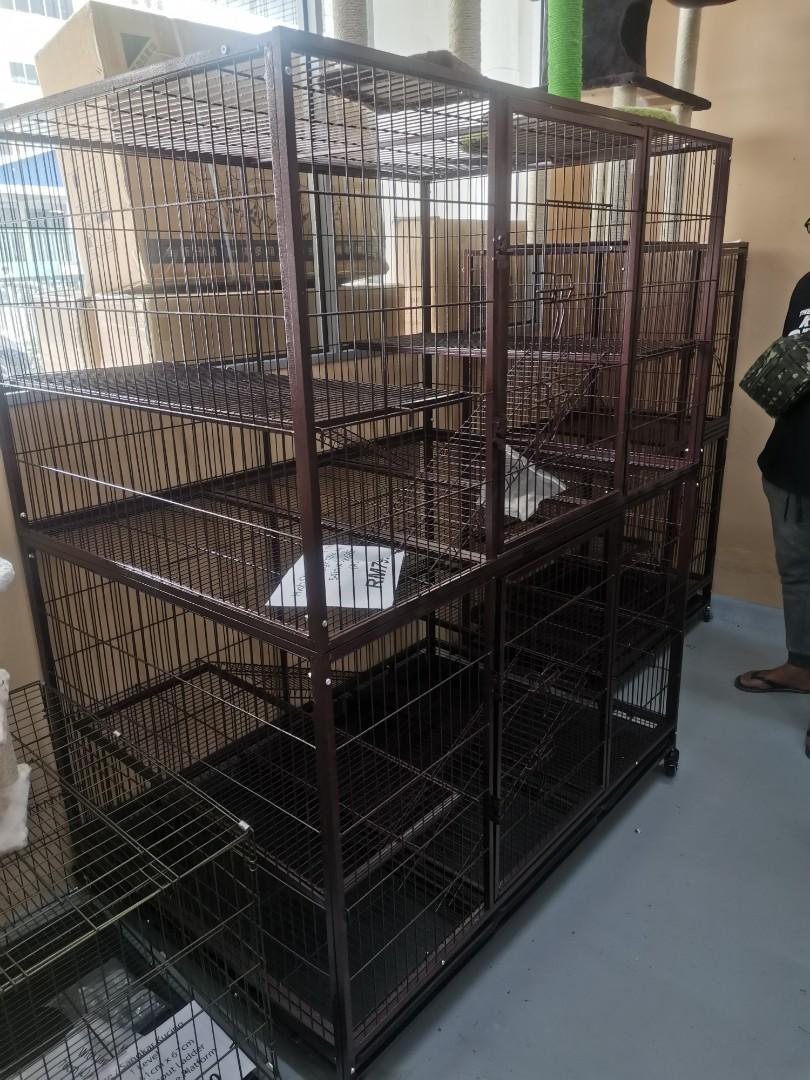 Sangkar kucing besar cat cage xxl, Pet Supplies, Homes & Other Pet ...