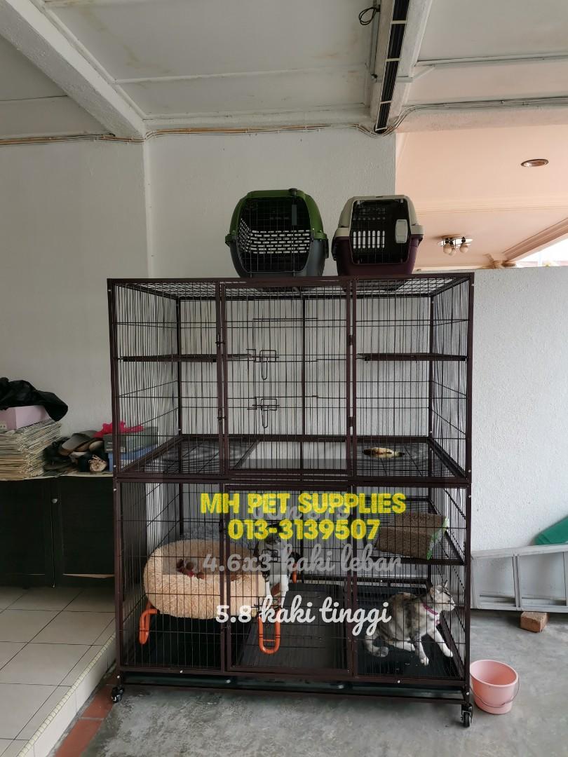 Sangkar kucing besar cat cage xxl, Pet Supplies, Homes & Other Pet ...