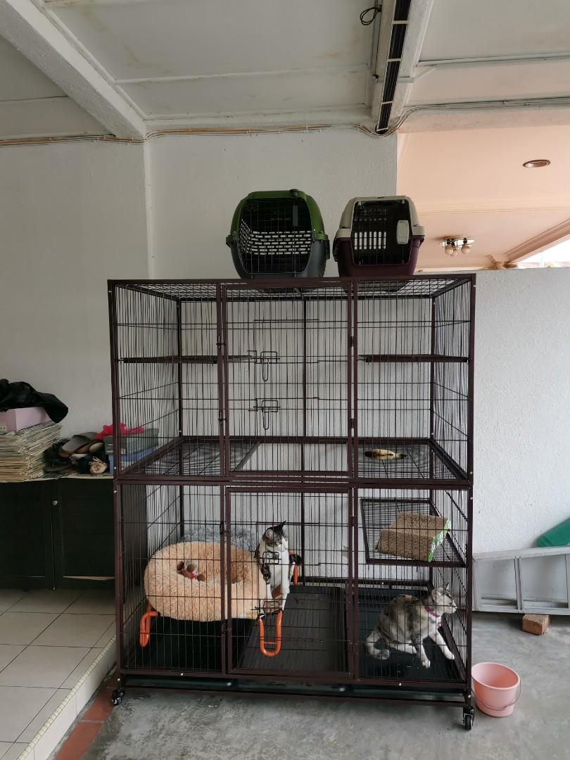 Sangkar kucing besar cat cage xxl, Pet Supplies, Homes & Other Pet ...
