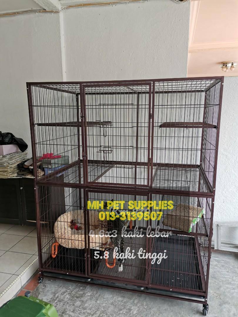 Sangkar kucing besar cat cage xxl, Pet Supplies, Homes & Other Pet ...