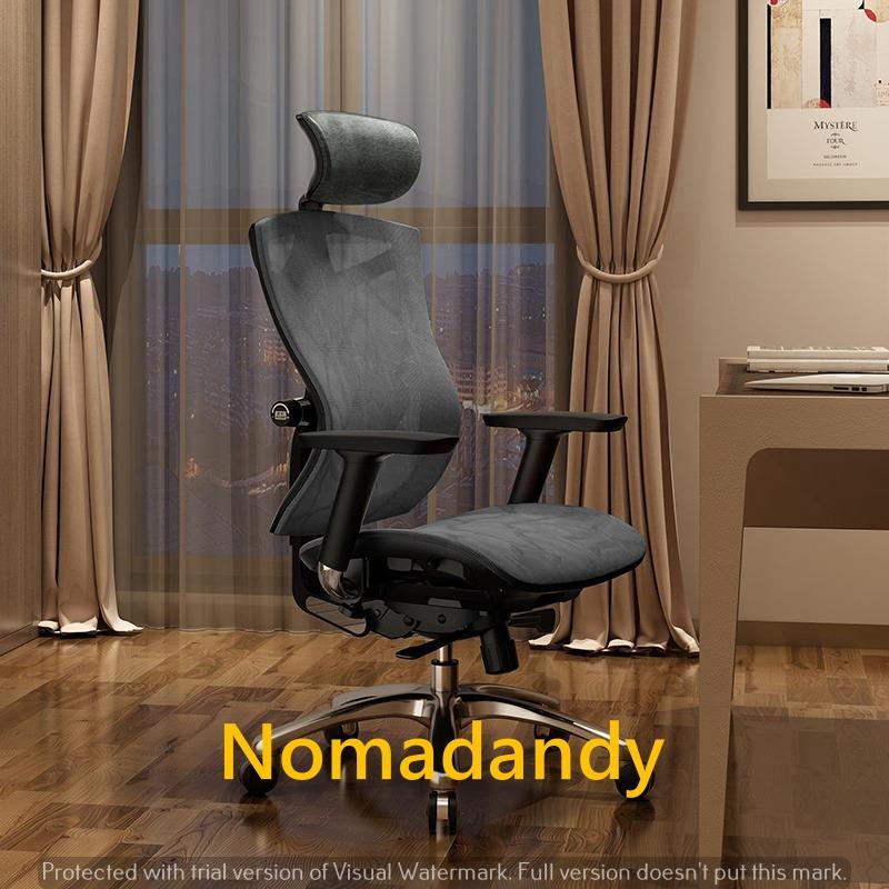 Sihoo V1 Ergonomic Office Chair with Adjustable Lumbar Support 4D ...