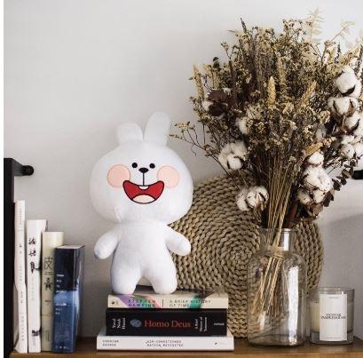 Spoiled Rabbit and Smile Person Plushie Soft Toy - LSG0214, Hobbies ...