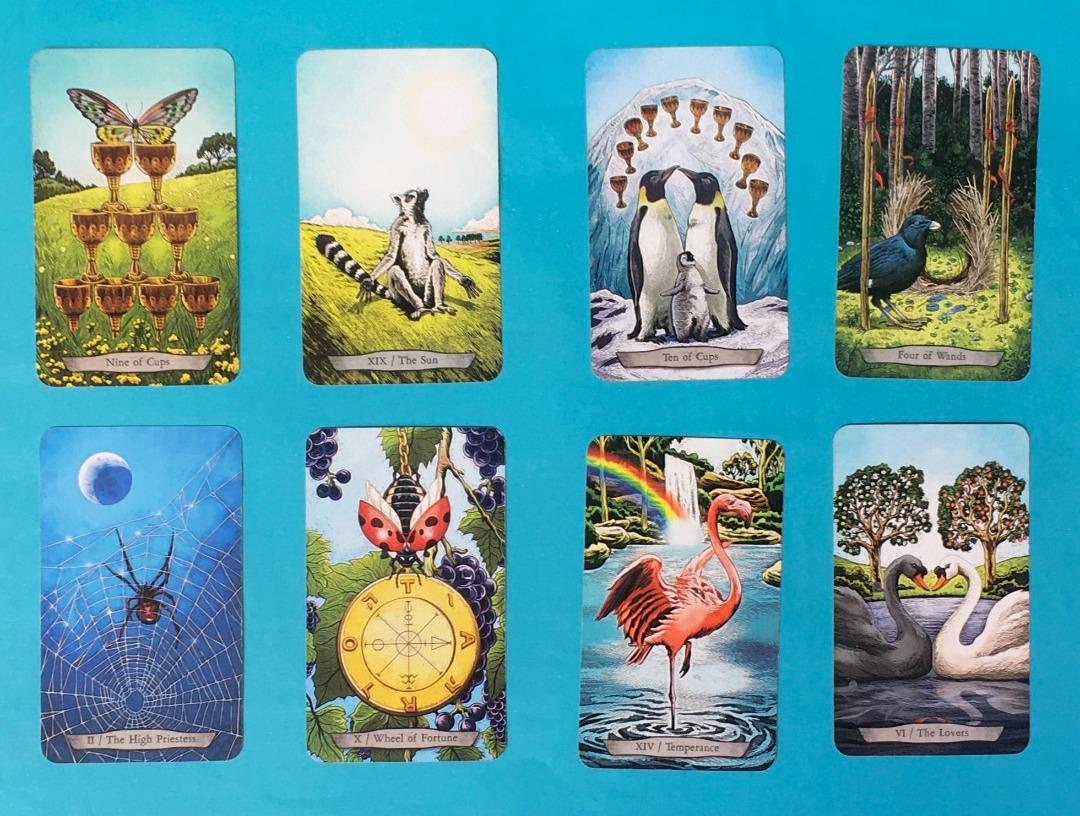 Tarot Decks and an Oracle Deck: Sexual Magic Tarot, Animal Totem Tarot ...