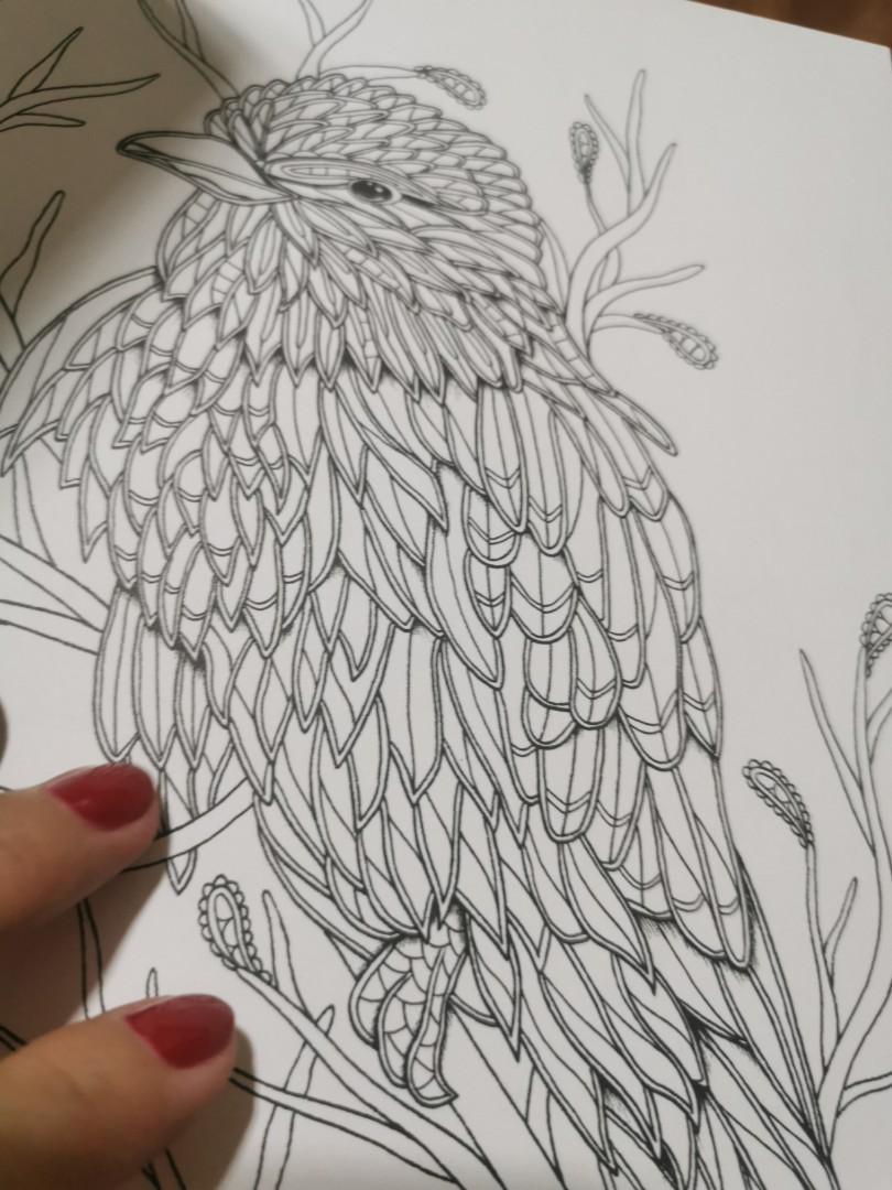 Adult and kids coloring book, Hobbies & Toys, Books & Magazines ...