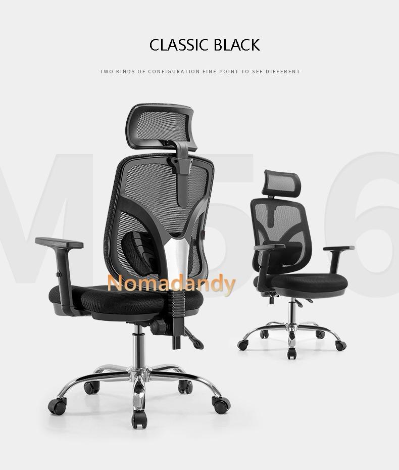 Affordable Mesh Chair Sihoo M56 with Lumbar Support Office Chair with ...