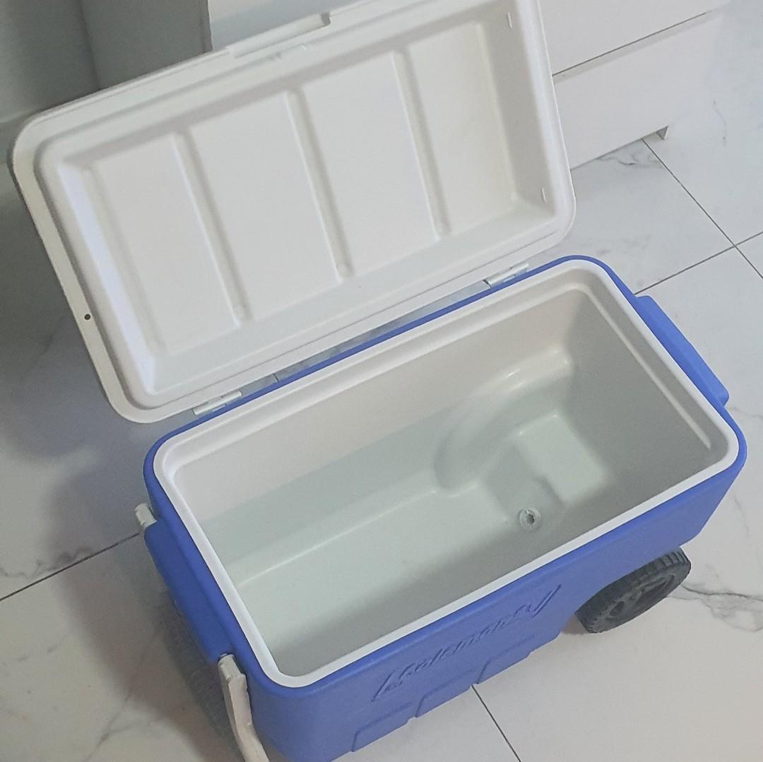 Coleman Large Picnic Box Cooler Box, Furniture & Home Living, Outdoor ...