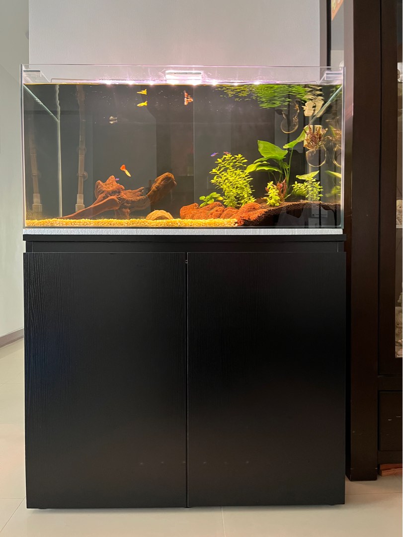 Full set 3Ft fish tank with cabinet, Pet Supplies, Homes & Other Pet ...
