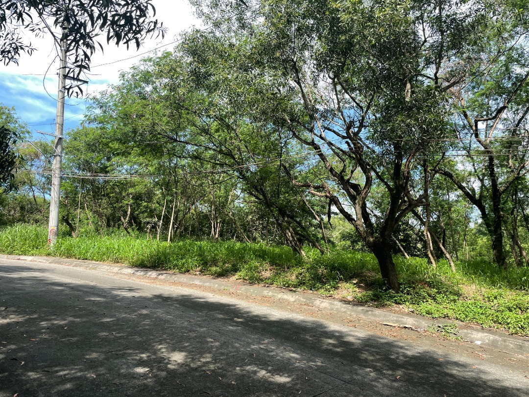 PARKRIDGE ESTATE Phase 2 Adjacent Prime Lots, Property, For Sale, Lot ...