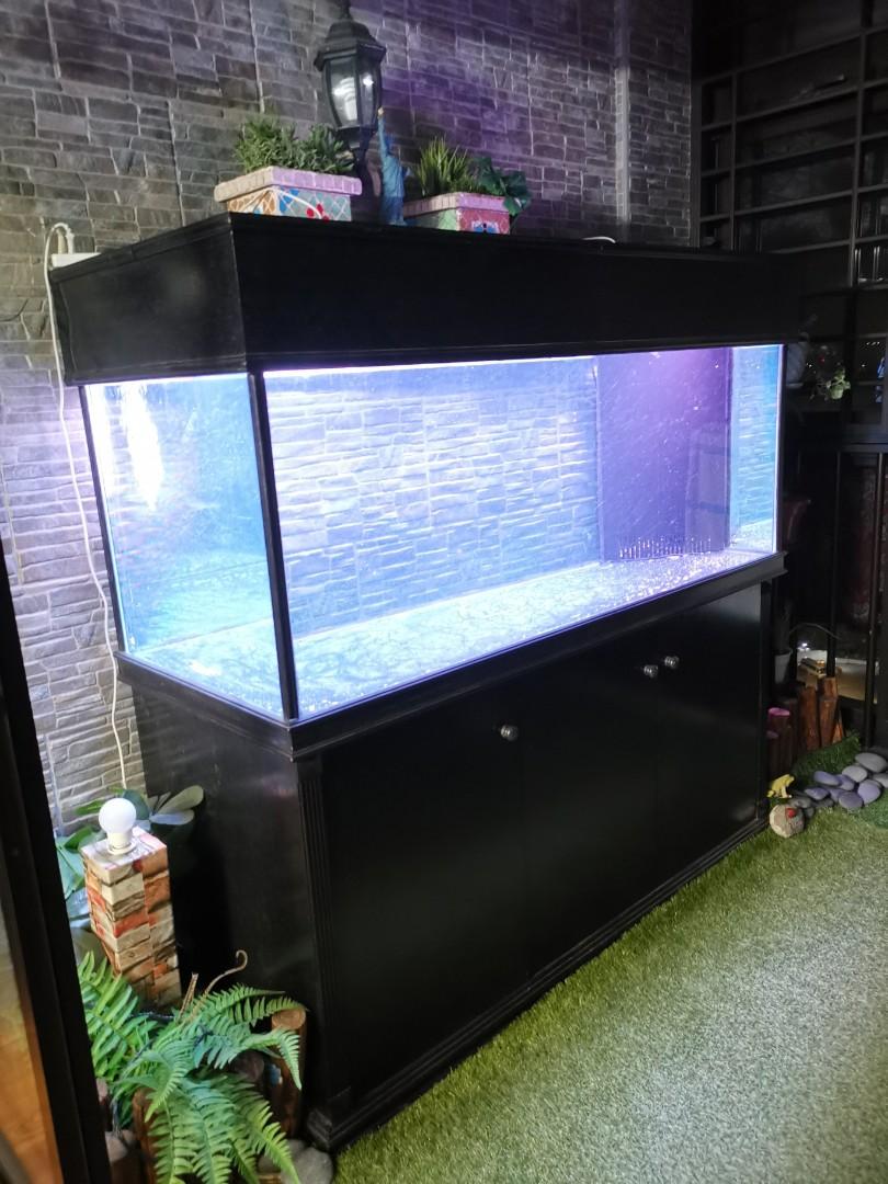 5ft x 2ft x 2ft Fish Tank with 3ft Sump Tank and with Hood (cover), Pet ...