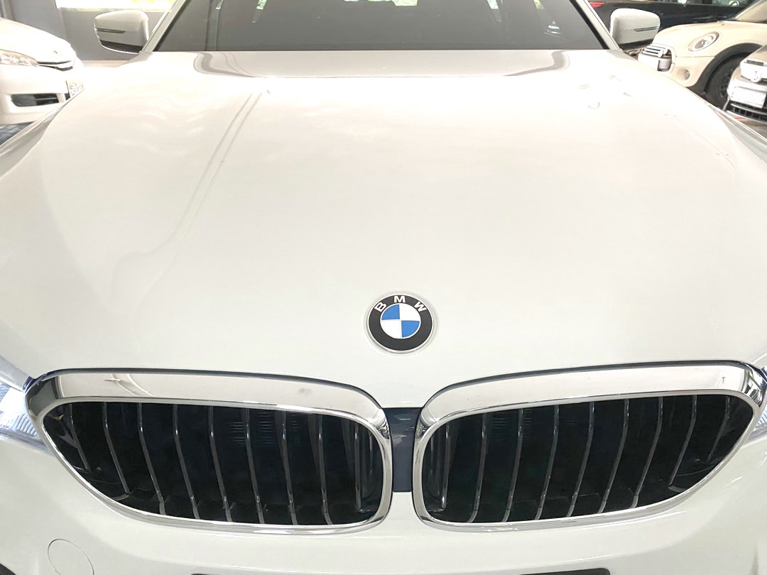 BMW G30 5 series Chrome kidney grilles (Original BMW 530i M-Sport), Car ...
