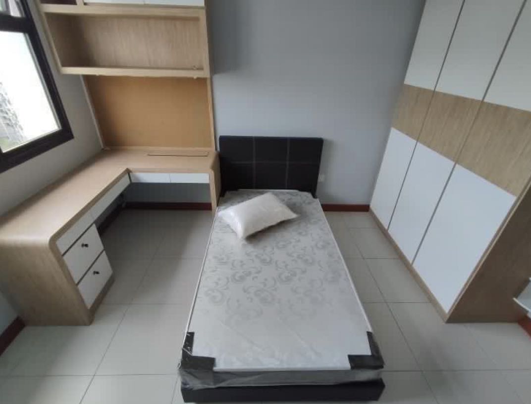 Brand New Single | Super Single | Queen Bed Frame + Optional Add On ...