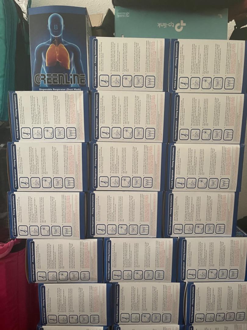 GreenLine Dust Mask (Disposable Respirator), Health & Nutrition, Face ...