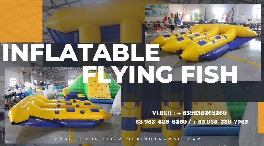 Inflatable Flying Fish 6 Seaters, Furniture & Home Living, Home ...