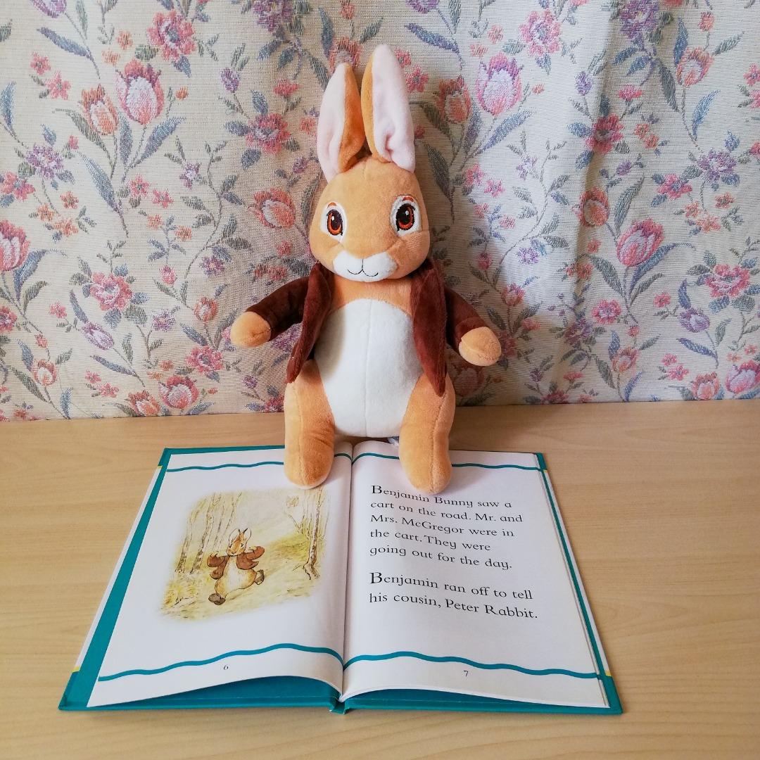 Peter Rabbit Beatrix Potter Book & Stuff Toy Bundle Set, Hobbies & Toys ...