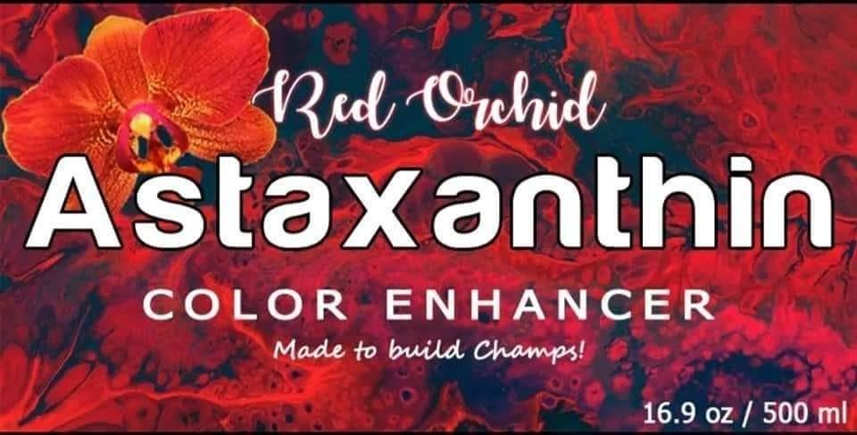 Red Orchid Astaxanthin Color Enhancer 500ml for Fish Grooming, Pet ...