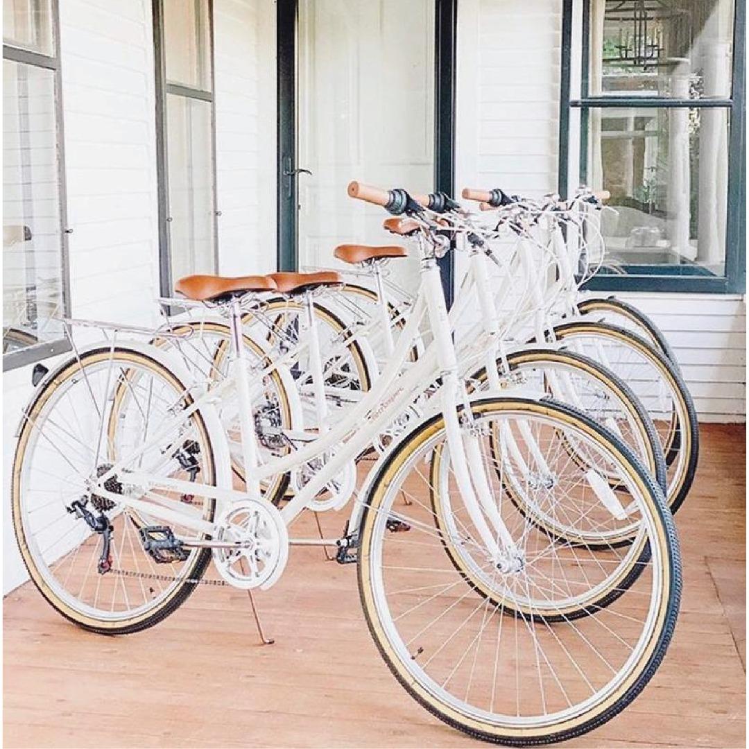 Retrospec Beaumont Ladies City Bike: 7-Speed Step-Thru (Blush Pink ...