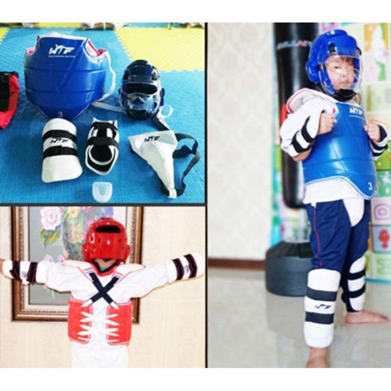 Taekwondo protective gears 10 in1 /TKD sparring gears KIDS/TKD shin ...