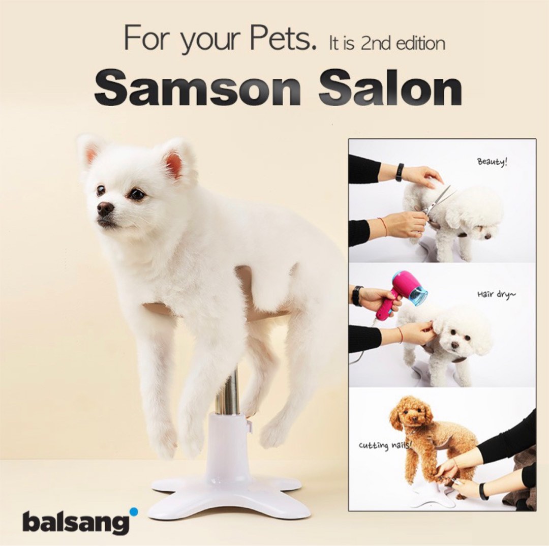 Balsang Samson salon / Pet chair for dog / Cut hair / Cut nails / Bathe ...